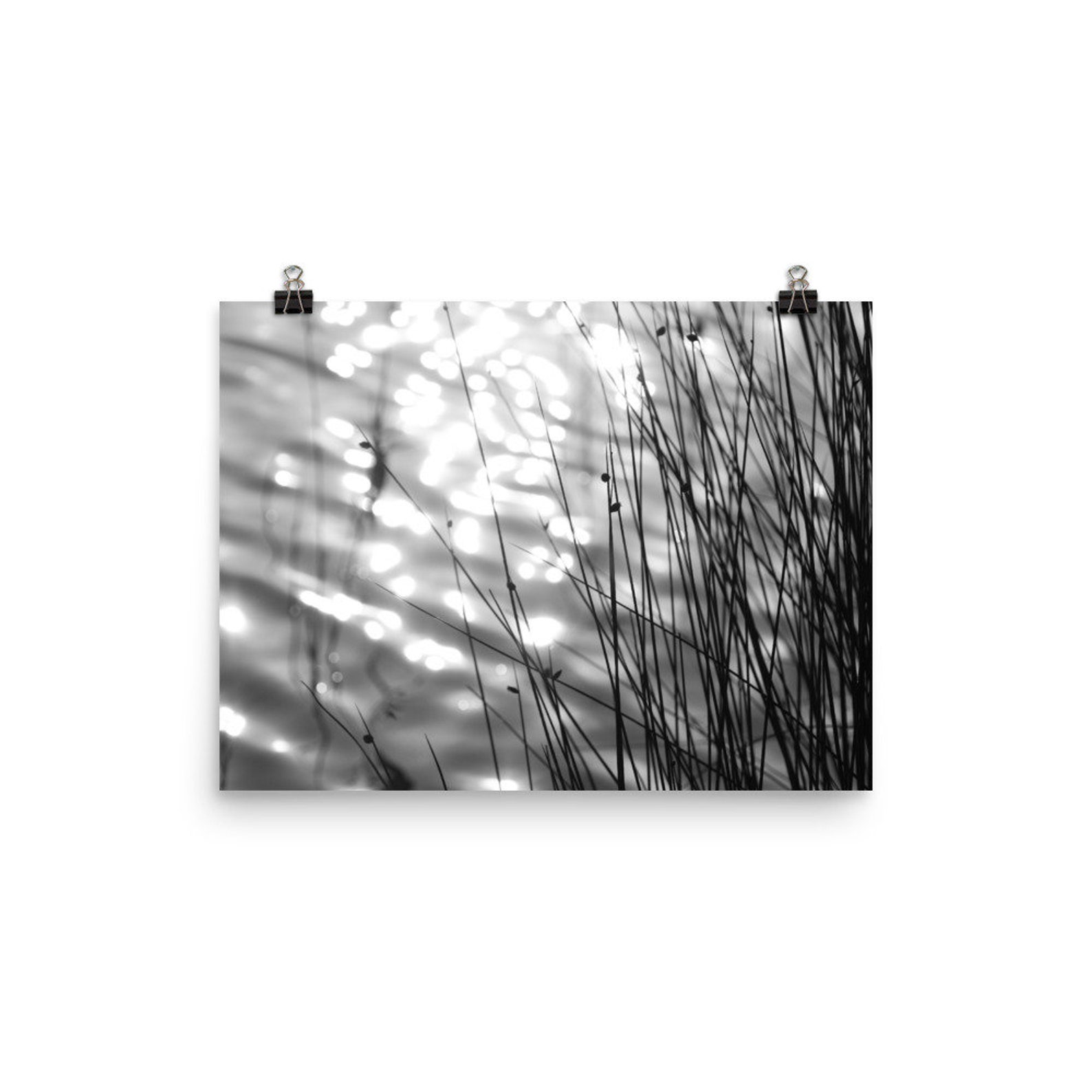 Wetland | Silhouette of Wetland Water Plants Against Light Reflection ...