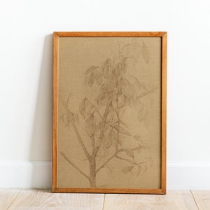 Pencil Drawing Horticultural Drawing Plum Tree Original Artwork - Etsy