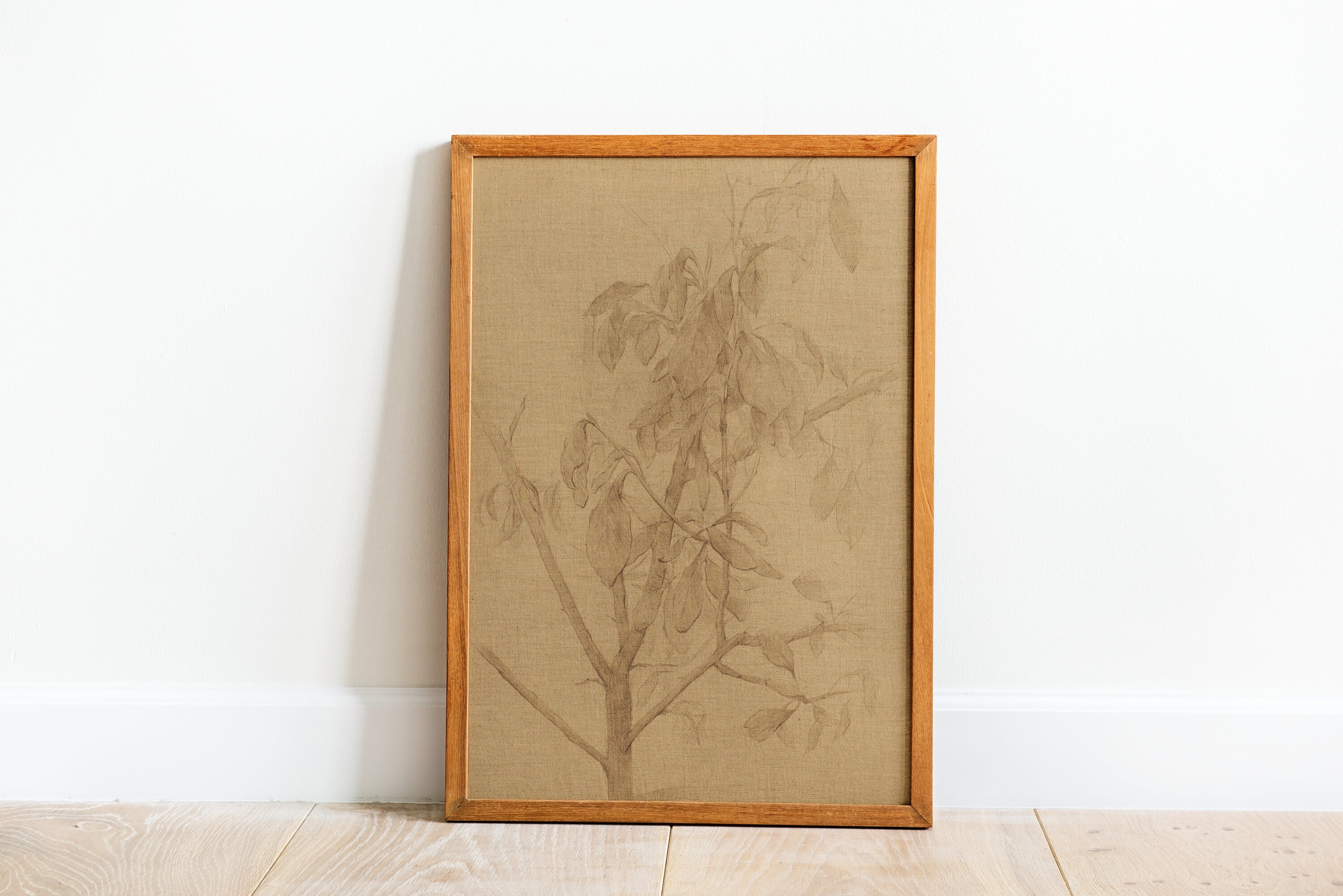 Pencil Drawing Horticultural Drawing Plum Tree Original - Etsy