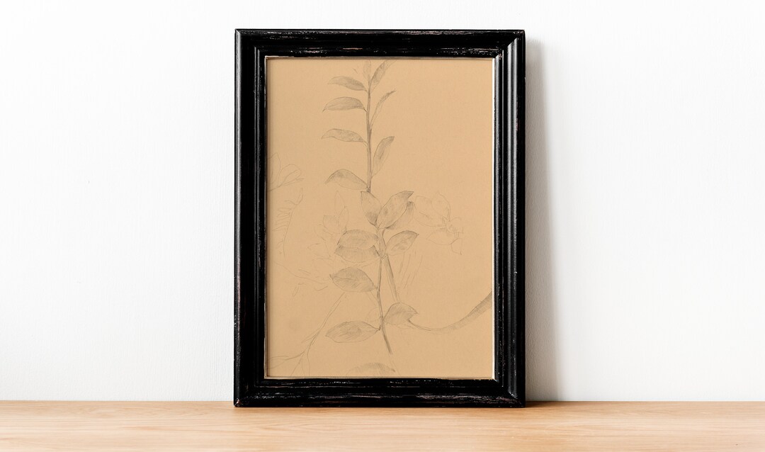 Drawing Sketch Pencil Drawing Plants Horticultural Drawing Graphite - Etsy