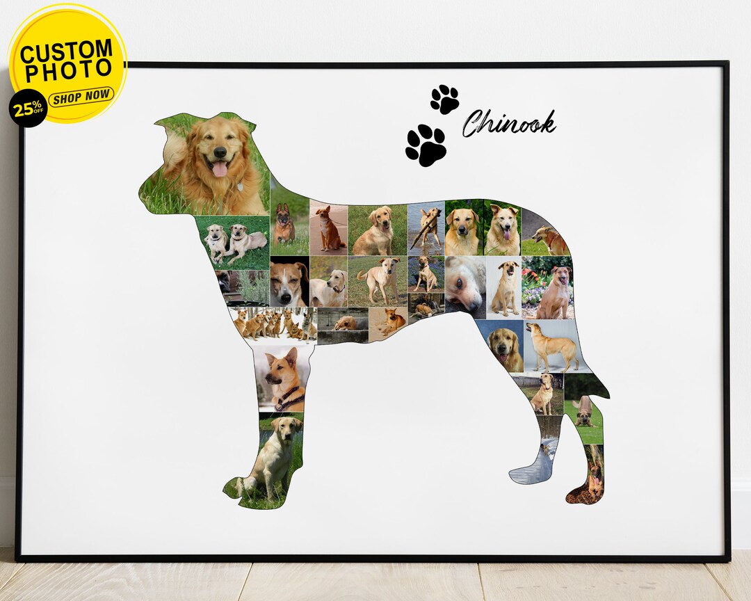 Chinook Watercolor Chinook Wall Art Wood Panel Photo - Etsy