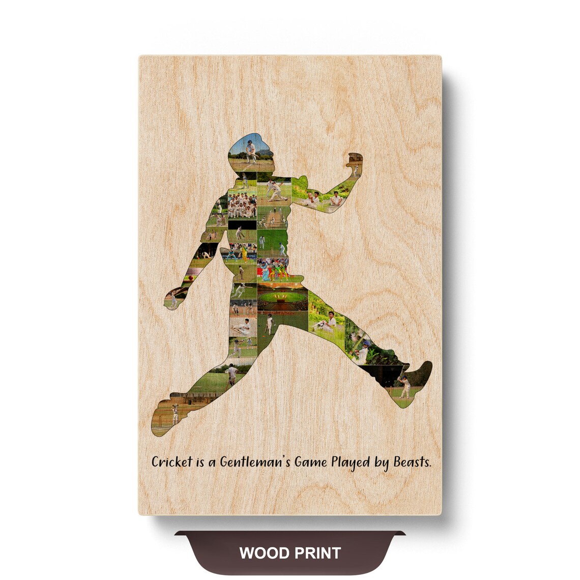 Cricket Poster Cricket Wall Art Cricket Photo Collage - Etsy