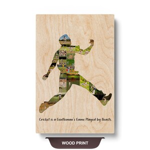 Cricket Poster Cricket Wall Art Cricket Photo Collage - Etsy