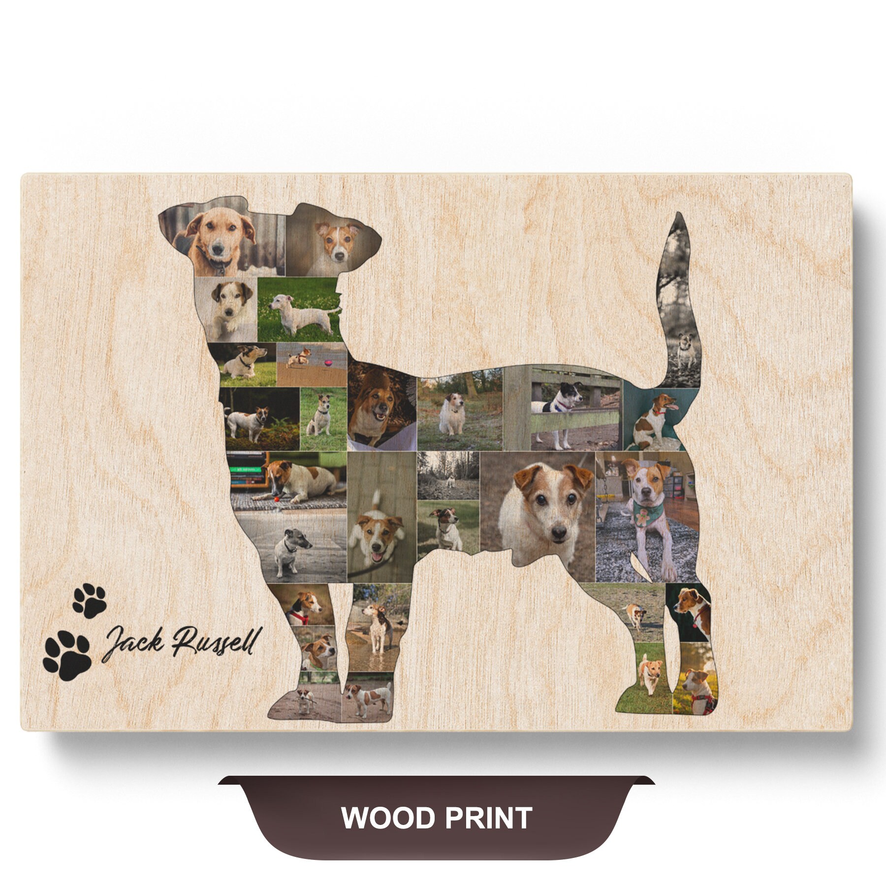 Jack Russell Terrier Memorial Jack Russell Lover Framed Jack - Etsy UK