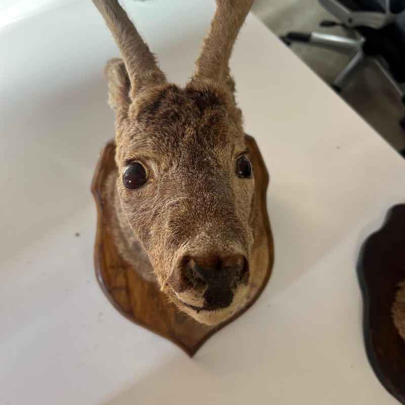 Fake Deer Head - Etsy