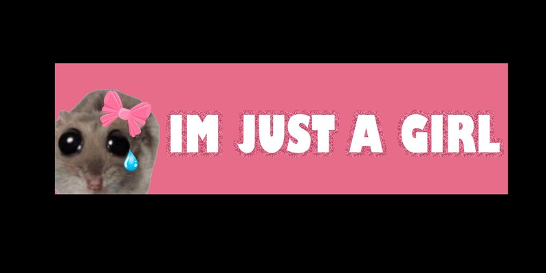 Funny Car Window Decal, Meme Sticker With Sad Hamster, Custom Bumper ...
