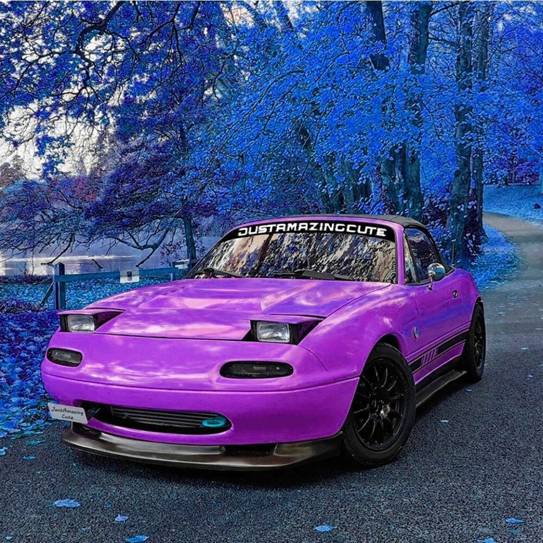 Custom Car Windshield Banner Create Your Own With Custom Text / Logo ...