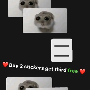 Sad Crying Hamster Meme Sticker - Im Just a Girl 9"- Funny Car Decal ...