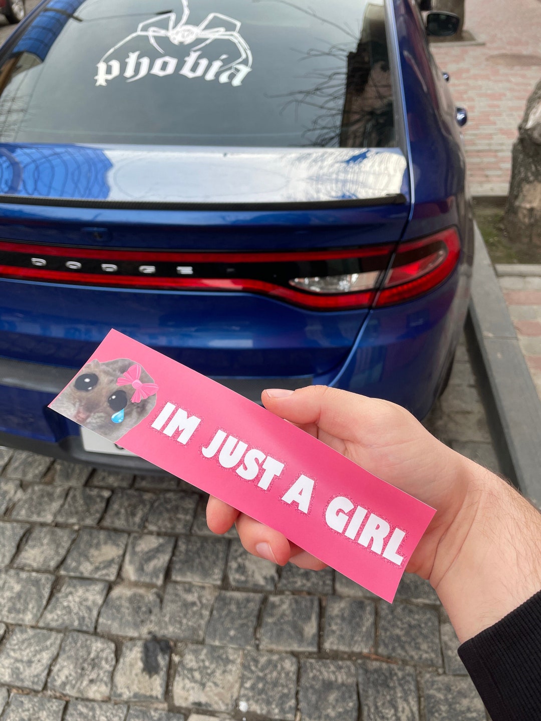 Sad Crying Hamster Meme Sticker - Im Just a Girl 9"- Funny Car Decal ...