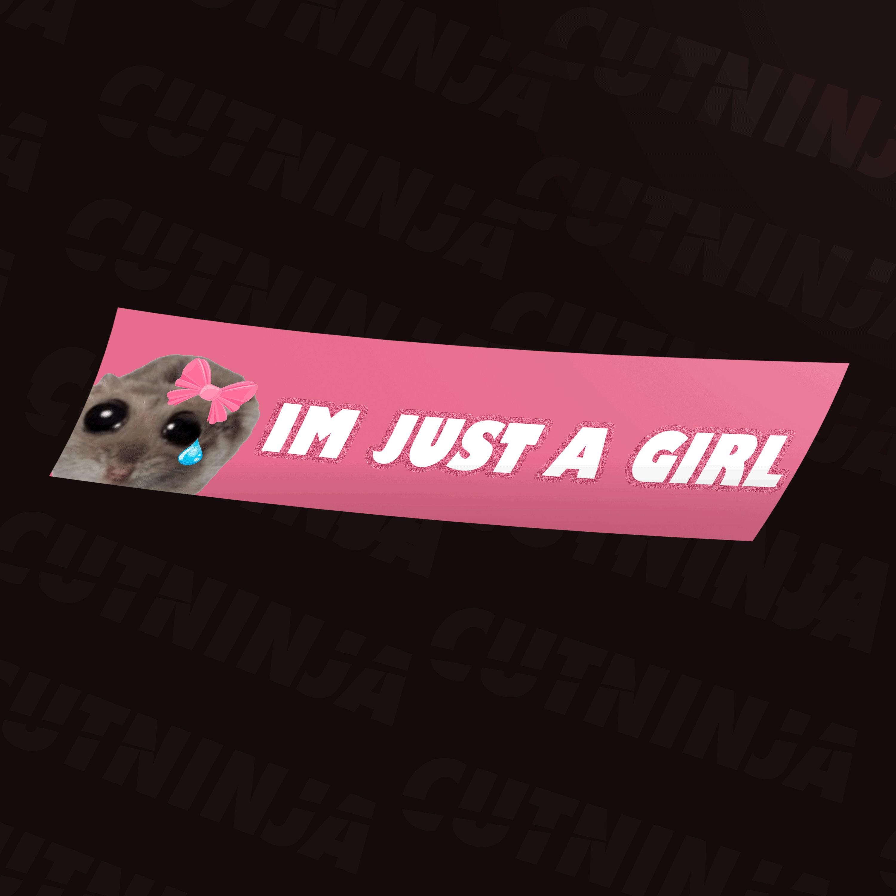 Funny Car Window Decal, Meme Sticker With Sad Hamster, Custom Bumper ...