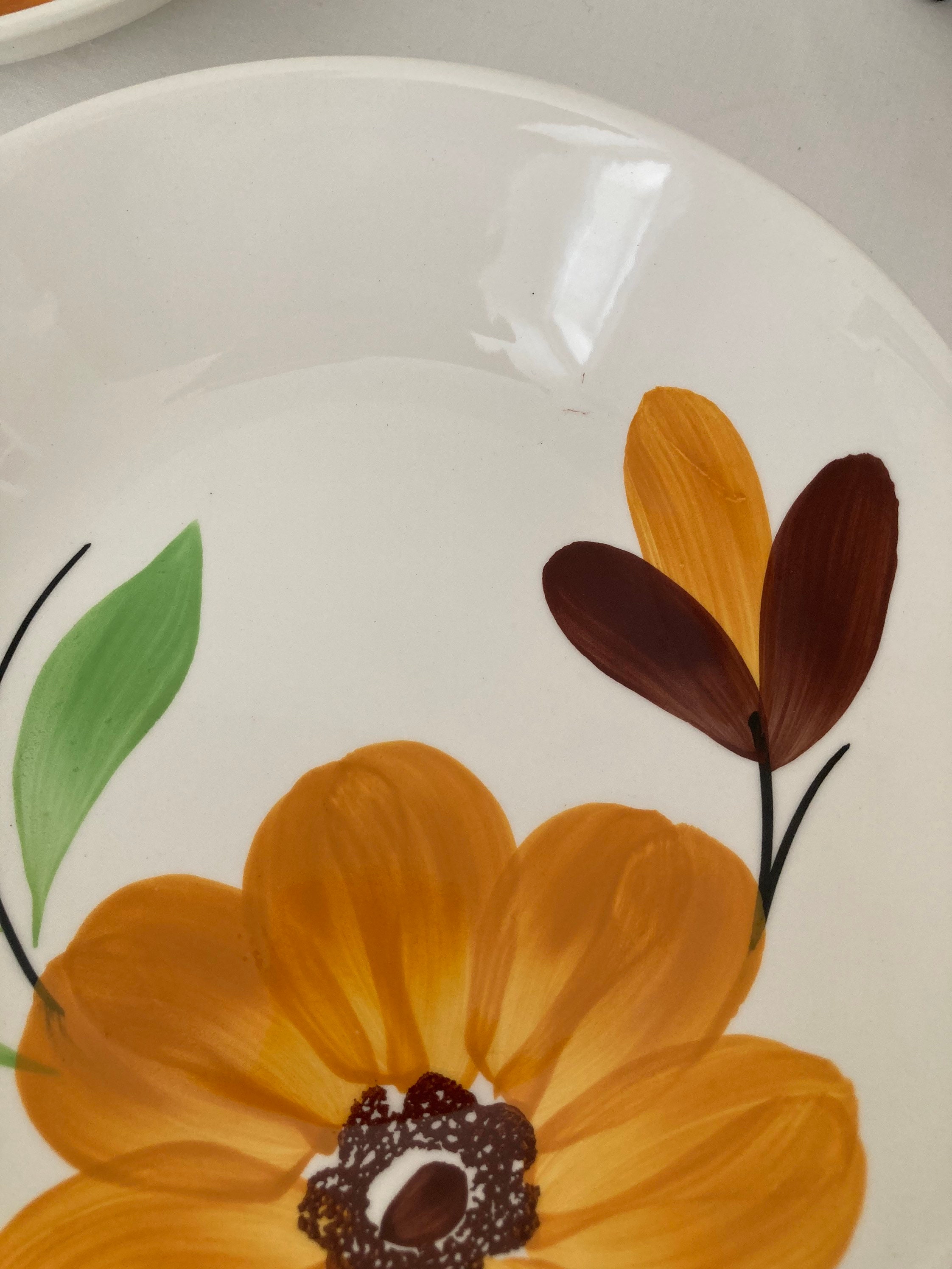 French Vintage Gien Set of 5 Dinner Bowls Hand Painted Orange - Etsy Sweden
