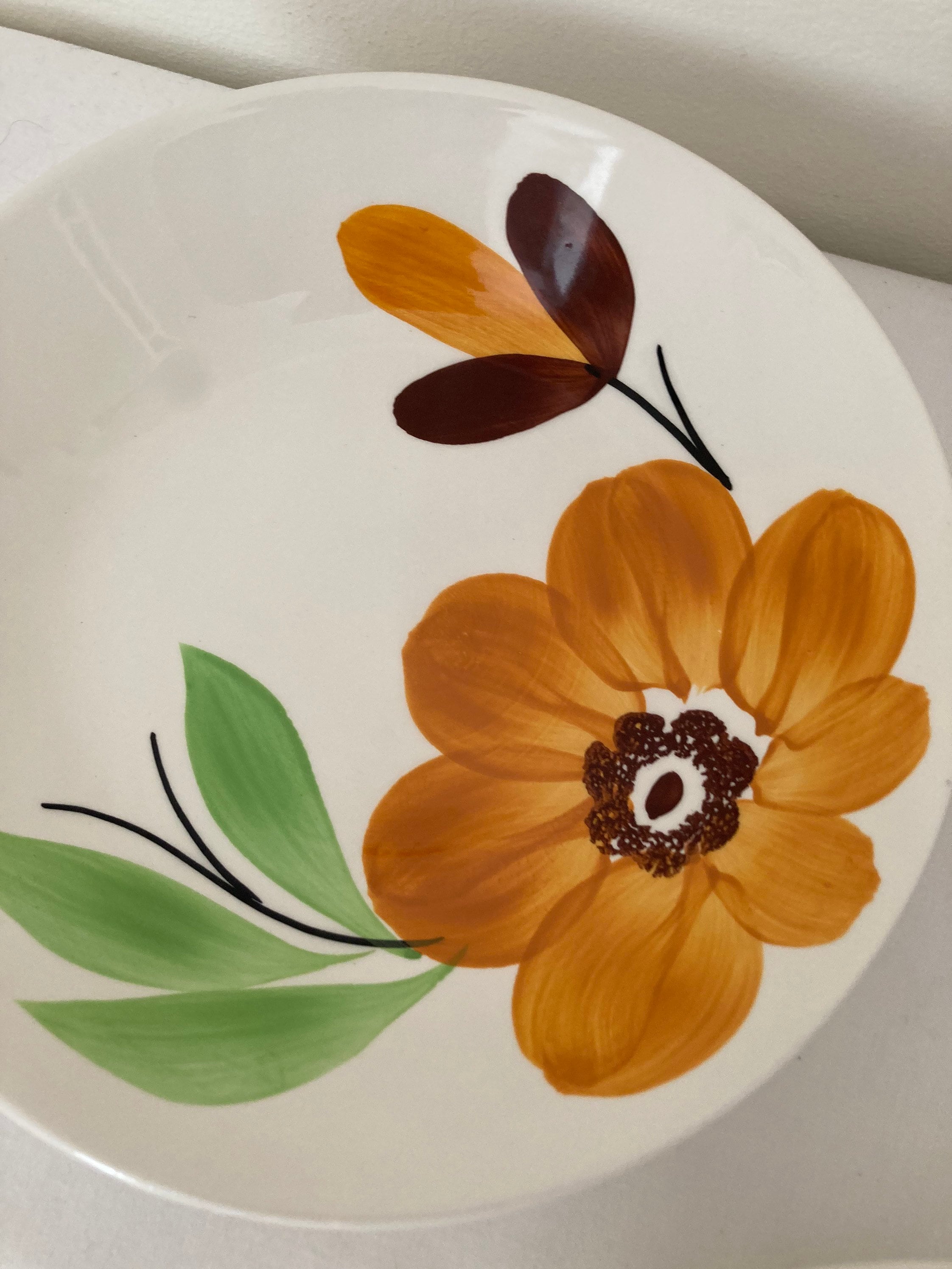 French Vintage Gien Set of 5 Dinner Bowls Hand Painted Orange - Etsy Sweden