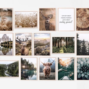 Nature Photography - Etsy