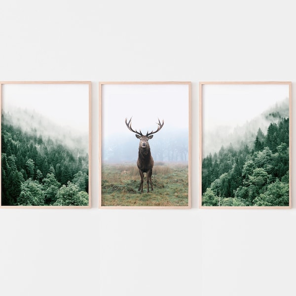 Triptych Animal Art - Etsy