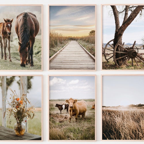 Set of 6 Equestrian Prints Horses Prints Printable Wall Art - Etsy