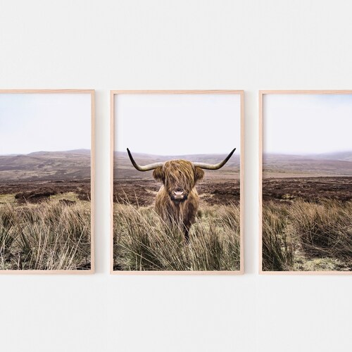 Highland Cow Tryptic Wall Art Set of 3 Prints Rustic Animal - Etsy