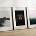 Wildlife Nature Prints, Wild Forest Print Set of 3, Bear Photography ...
