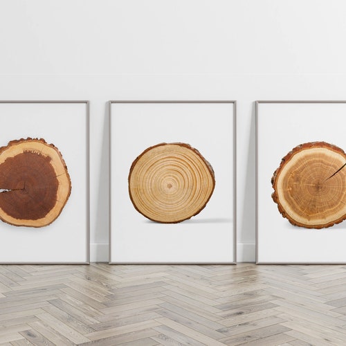 Tree Rings Wall Art Set of 3 Prints Digital Files Tree Log | Etsy