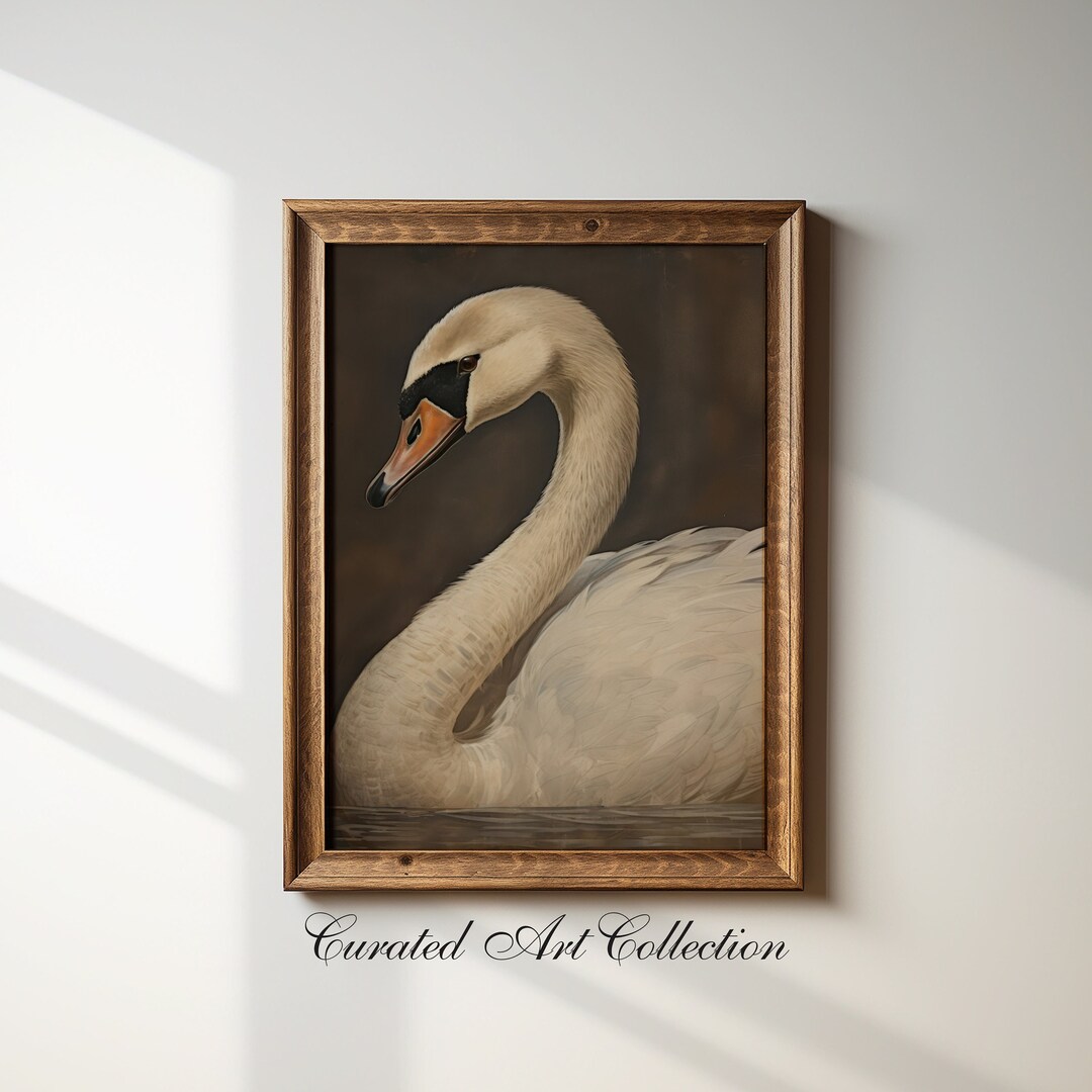 Antique White Swan on Black Background Print, Vintage Swan Art Print ...