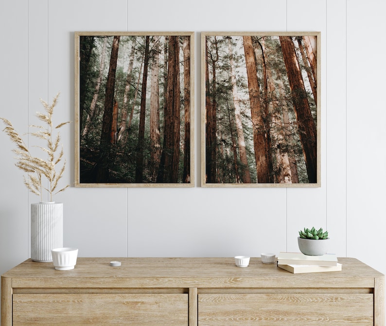 Redwood Tree Wall Art Set of 2 Prints Forest Nature Prints - Etsy