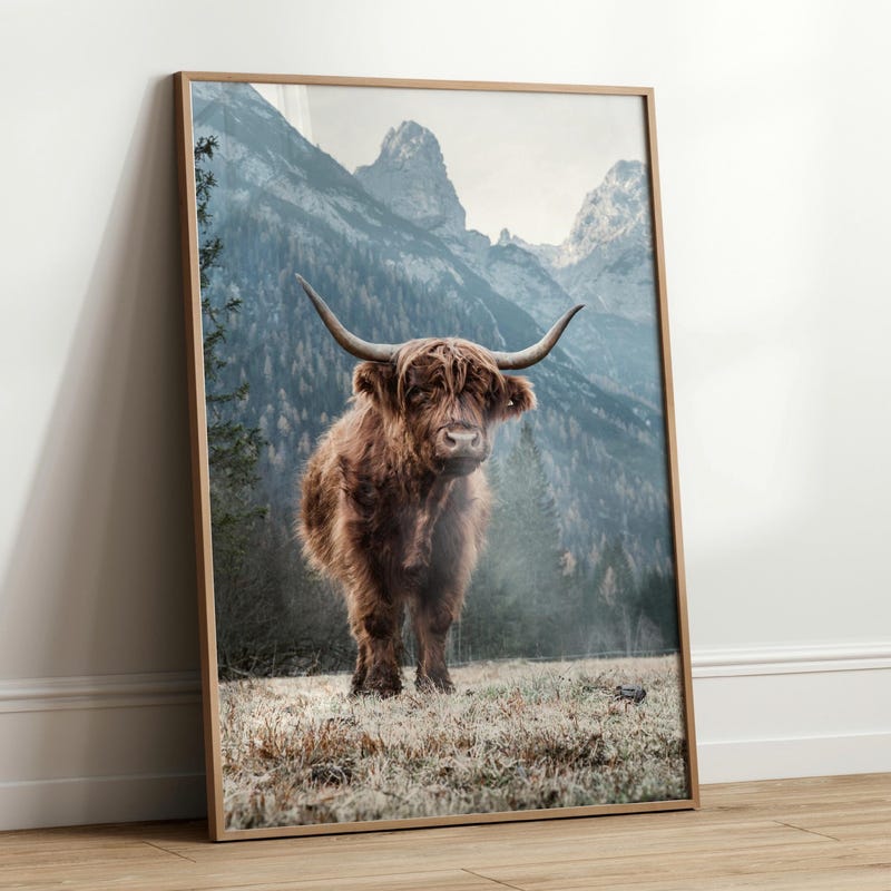 Highland Cow Print - Etsy