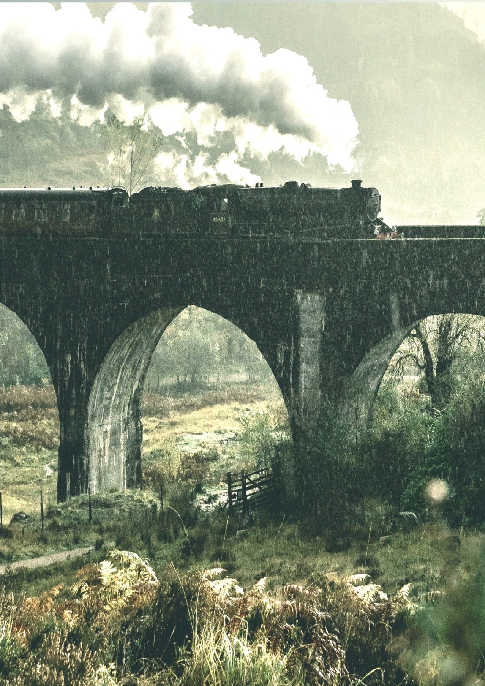 Scotland Nature Wall Art, Steam Train Photography Print, Glenfinnan ...