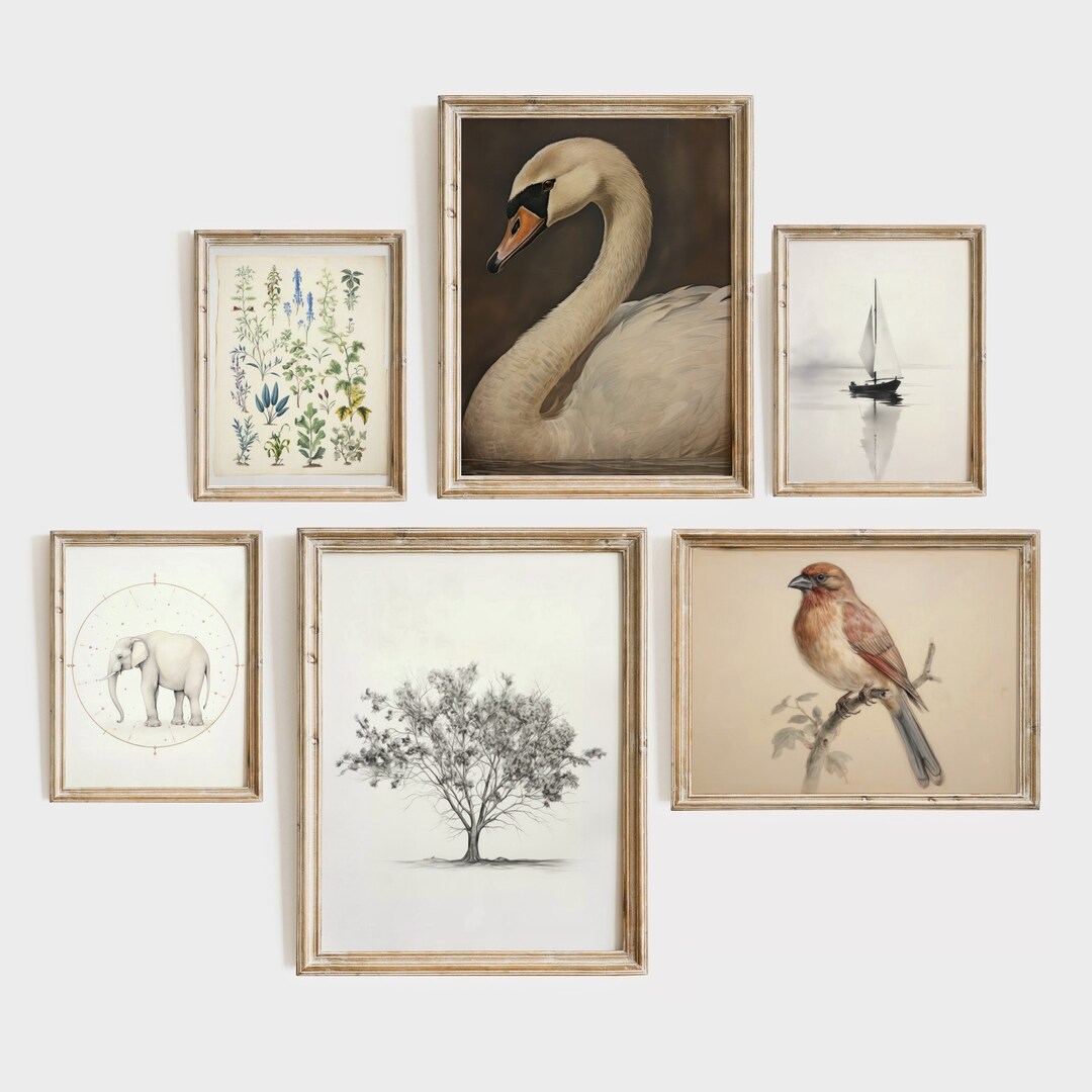 Vintage Swan Gallery Prints, Cottage Set of 6 Prints, Digital Download ...