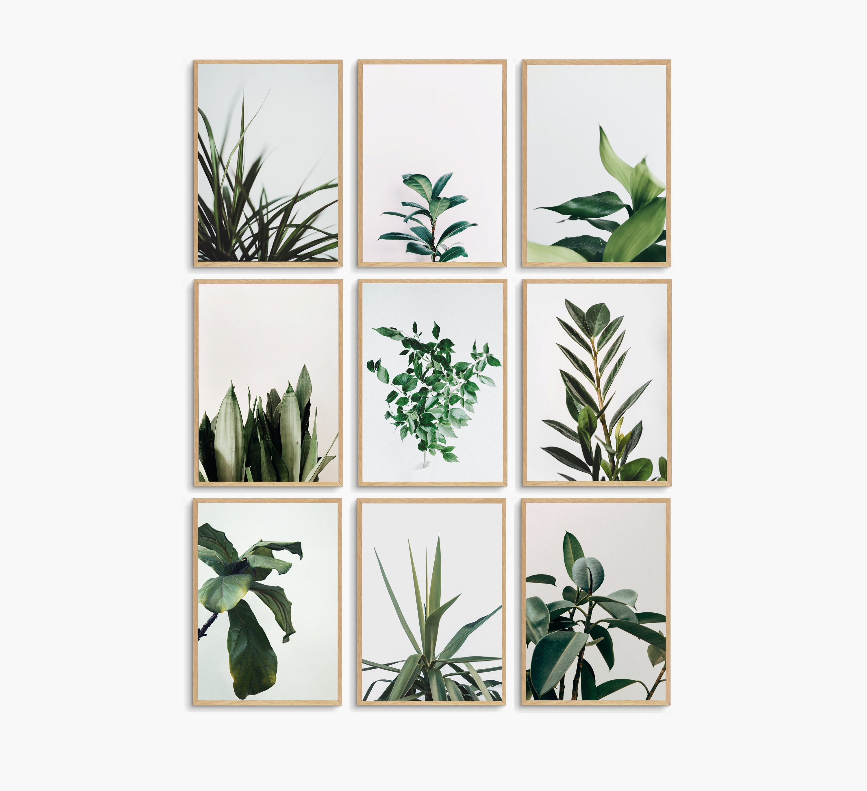 Botanical Gallery Wall Set of 9 Prints, Green Leaves Photograph Prints ...