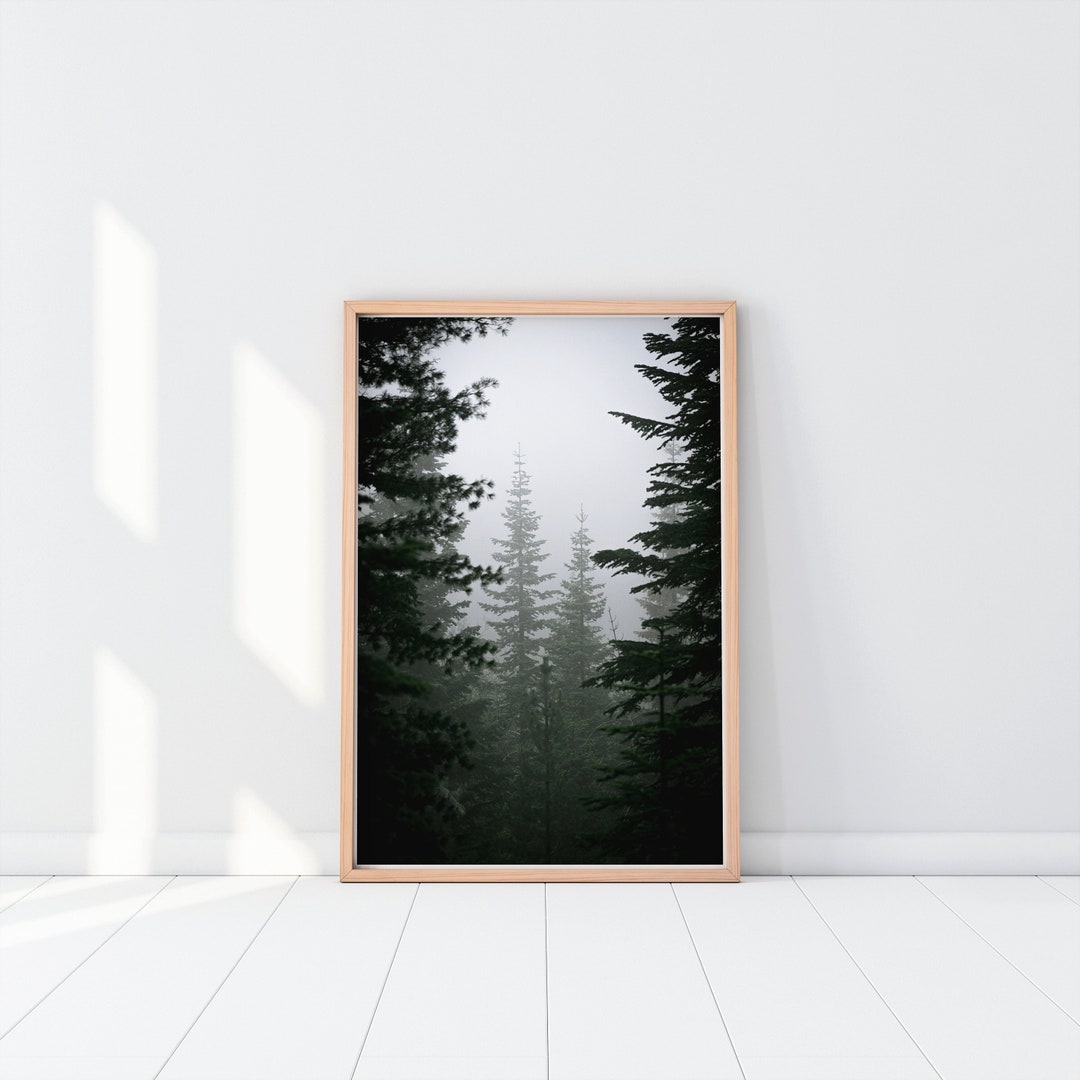 Dark Forest Print, Pine Trees Photography, Misty Forest Poster for ...