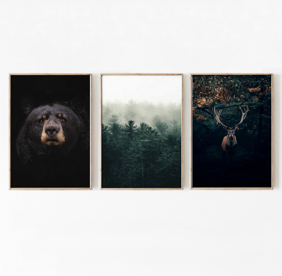 3 Piece Wall Art, Deer Prints Wall Art, Wildlife Print Set of 3, Wild ...