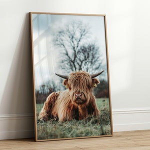 Highland Cow Print, Digital Download, Highland Cow Poster, Printable ...