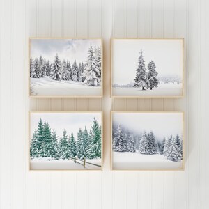 Snowy Pine Trees Prints, Winter Forest Landscape Prints Set of 4 ...