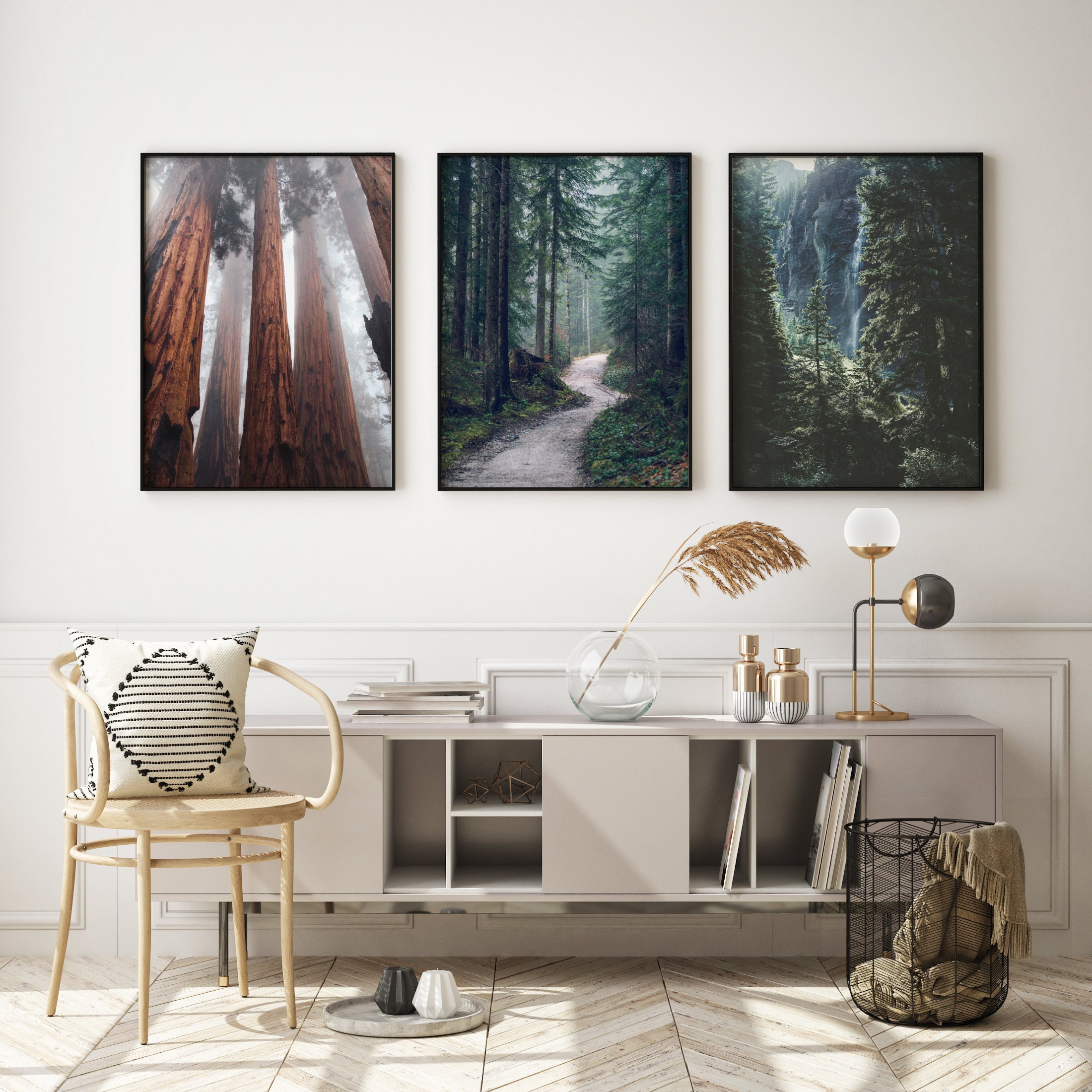 Redwood Forest Prints Set of 3 Forest Nature Photography | Etsy