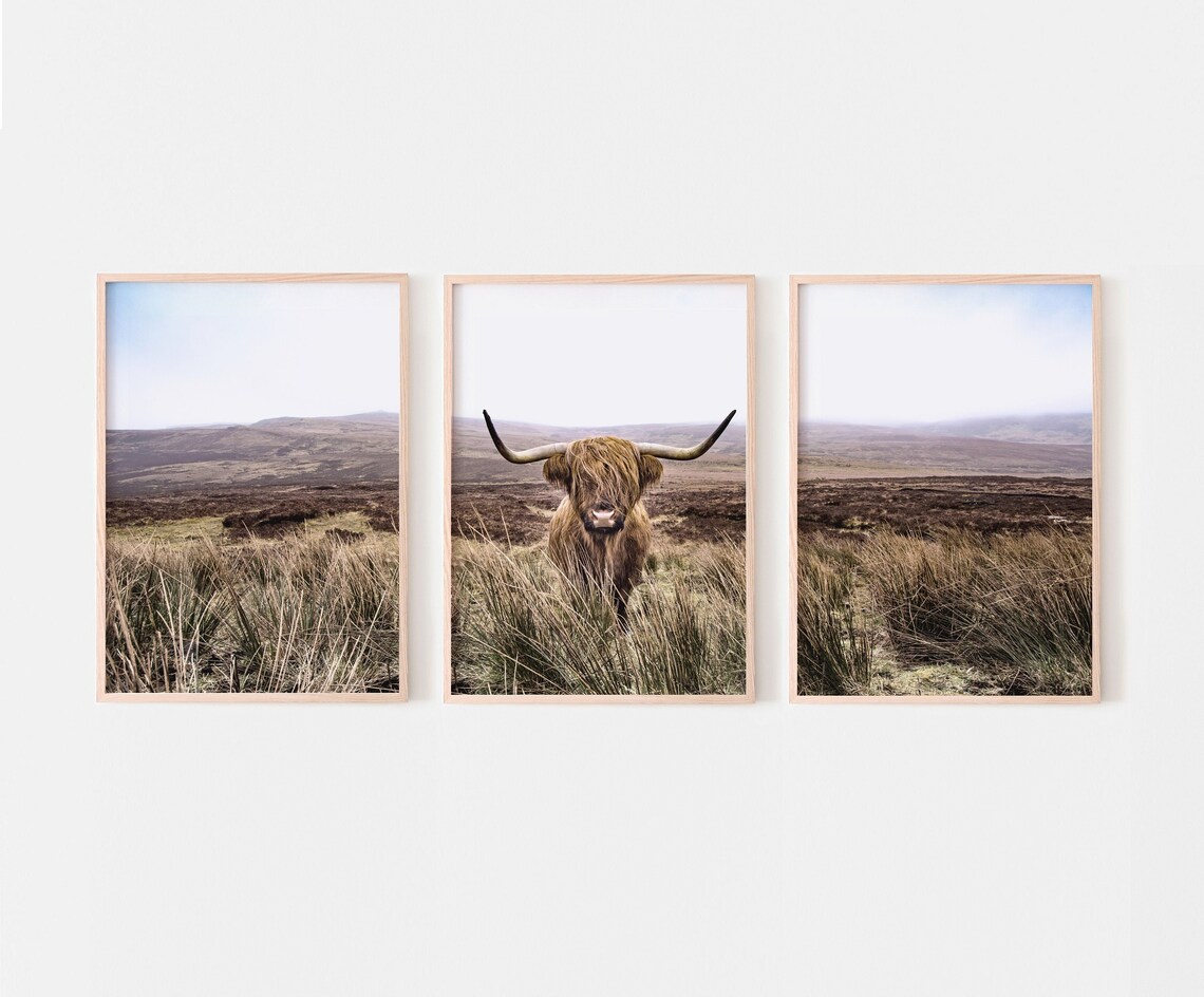 Highland Cow Tryptic Wall Art Set of 3 Prints Rustic Animal - Etsy
