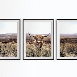 Highland Cow Tryptic Wall Art, Set of 3 Prints, Rustic Animal ...