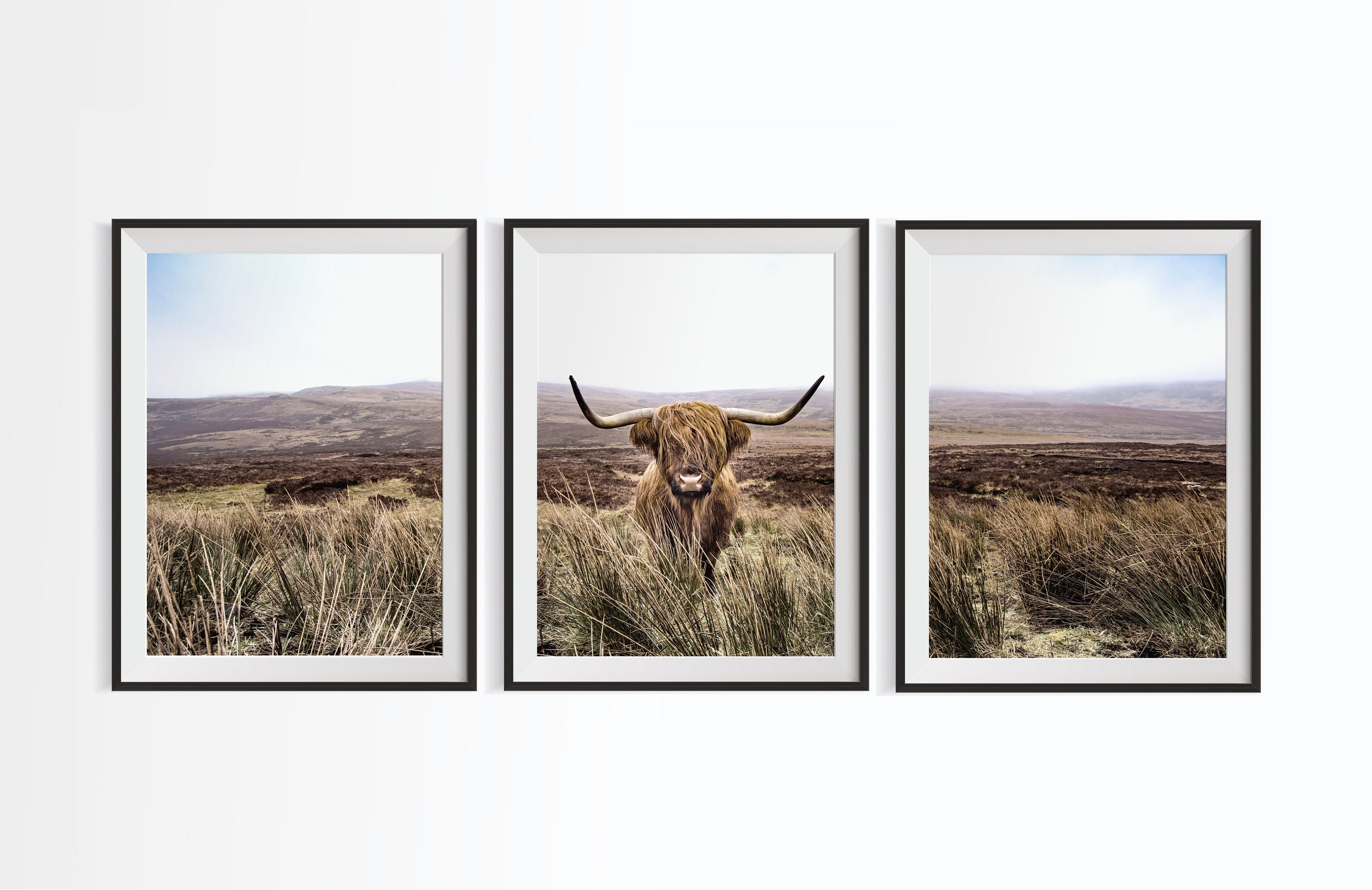 Highland Cow Tryptic Wall Art Set of 3 Prints Rustic Animal - Etsy