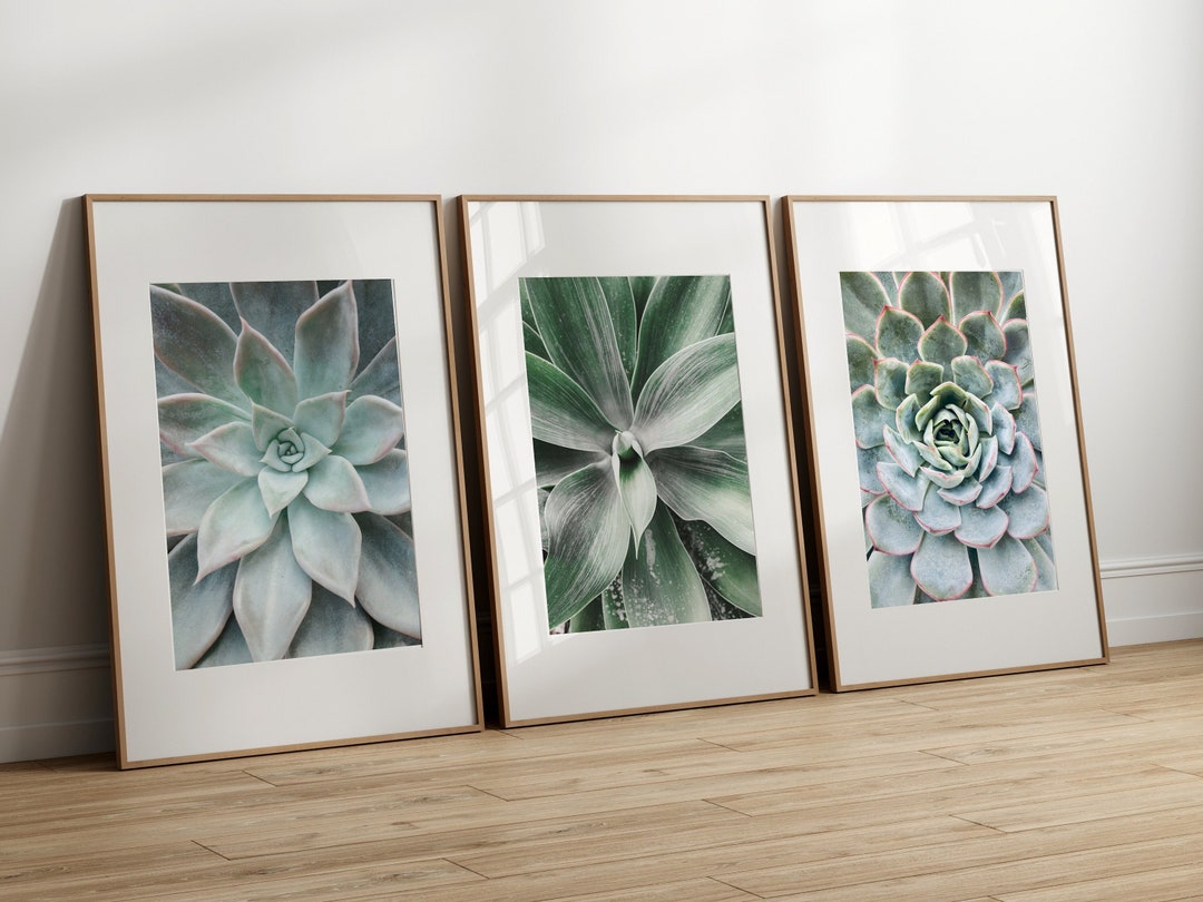 Succulent Prints Set of 3, Succulent Photography Prints, Digital ...