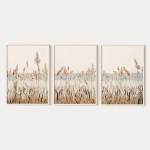 Neutral Dried Grass Prints, Pampas Triptych Wall Art, Dried Grass Set of 3 Prints, Boho Coastal ...