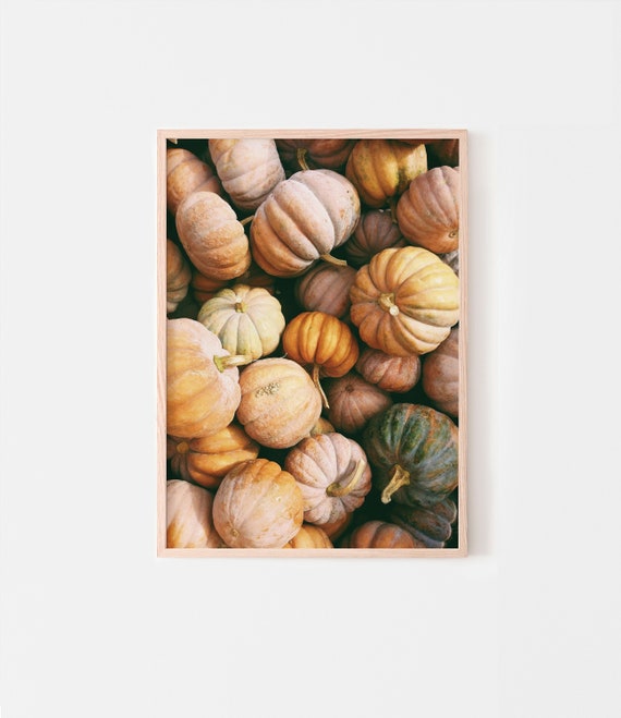 Fall Pumpkins Print Autumn Pumpkin Photography Farmhouse - Etsy