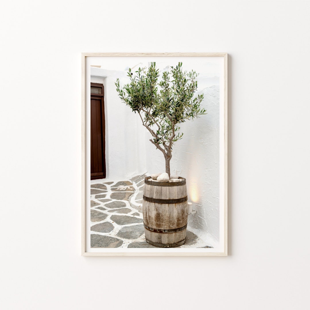 Olive Tree Print, Mediterranean Printable Wall Art, Olive Branch ...