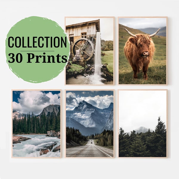 Printable Nature Wall Art - Etsy