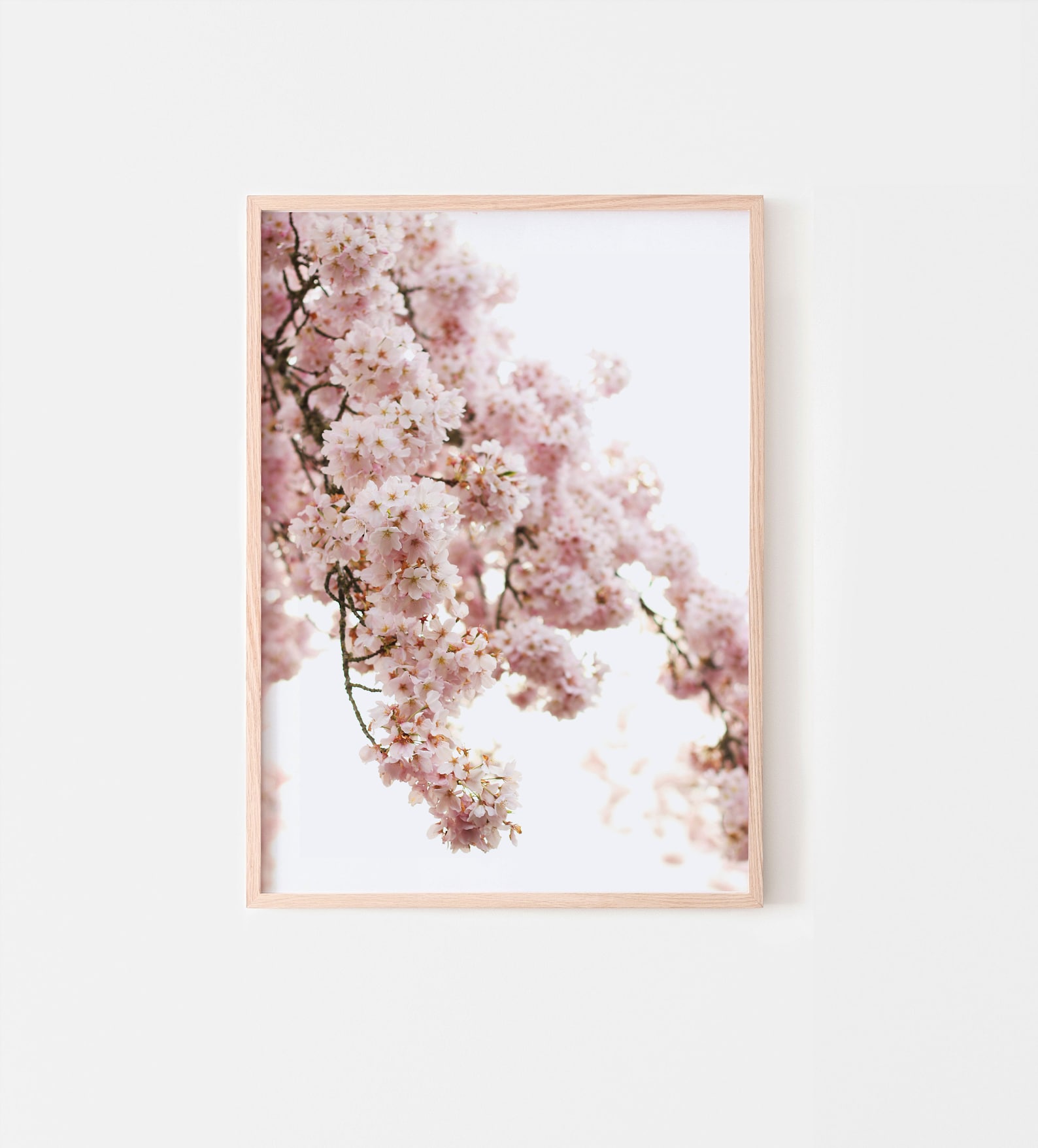 Cherry Blossom Wall Art Prints Set of 3, Spring Flowers Photography ...