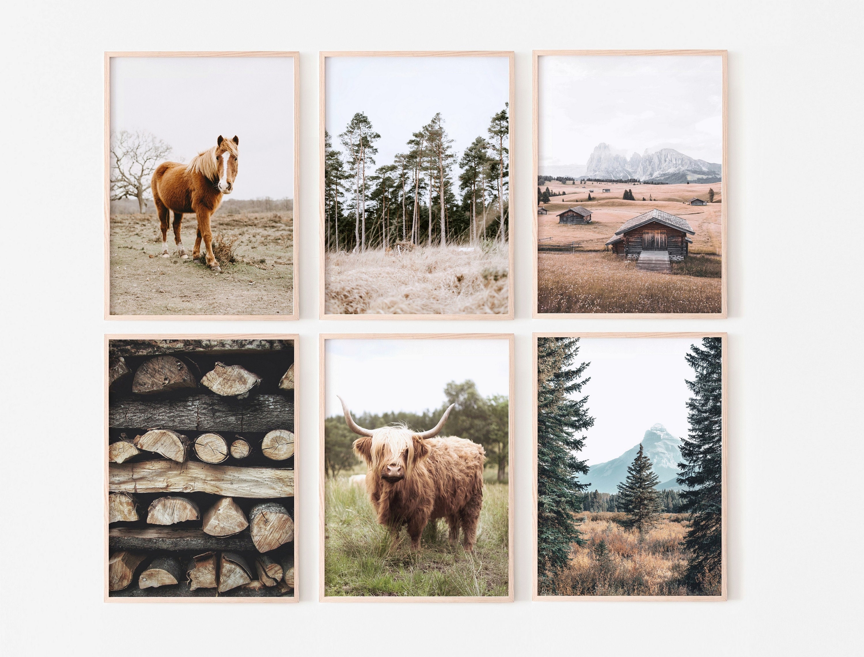 Nature Gallery Wall Set of 6 Prints, Nature Photography Prints ...