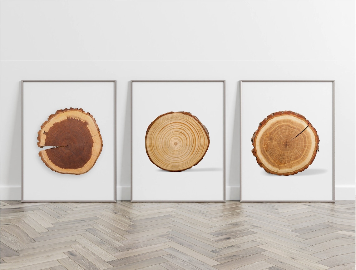 Tree Rings Wall Art Set of 3 Prints Digital Files Tree Log | Etsy