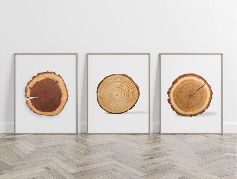 Tree Rings Wall Art Set of 3 Prints Digital Files Tree Log | Etsy