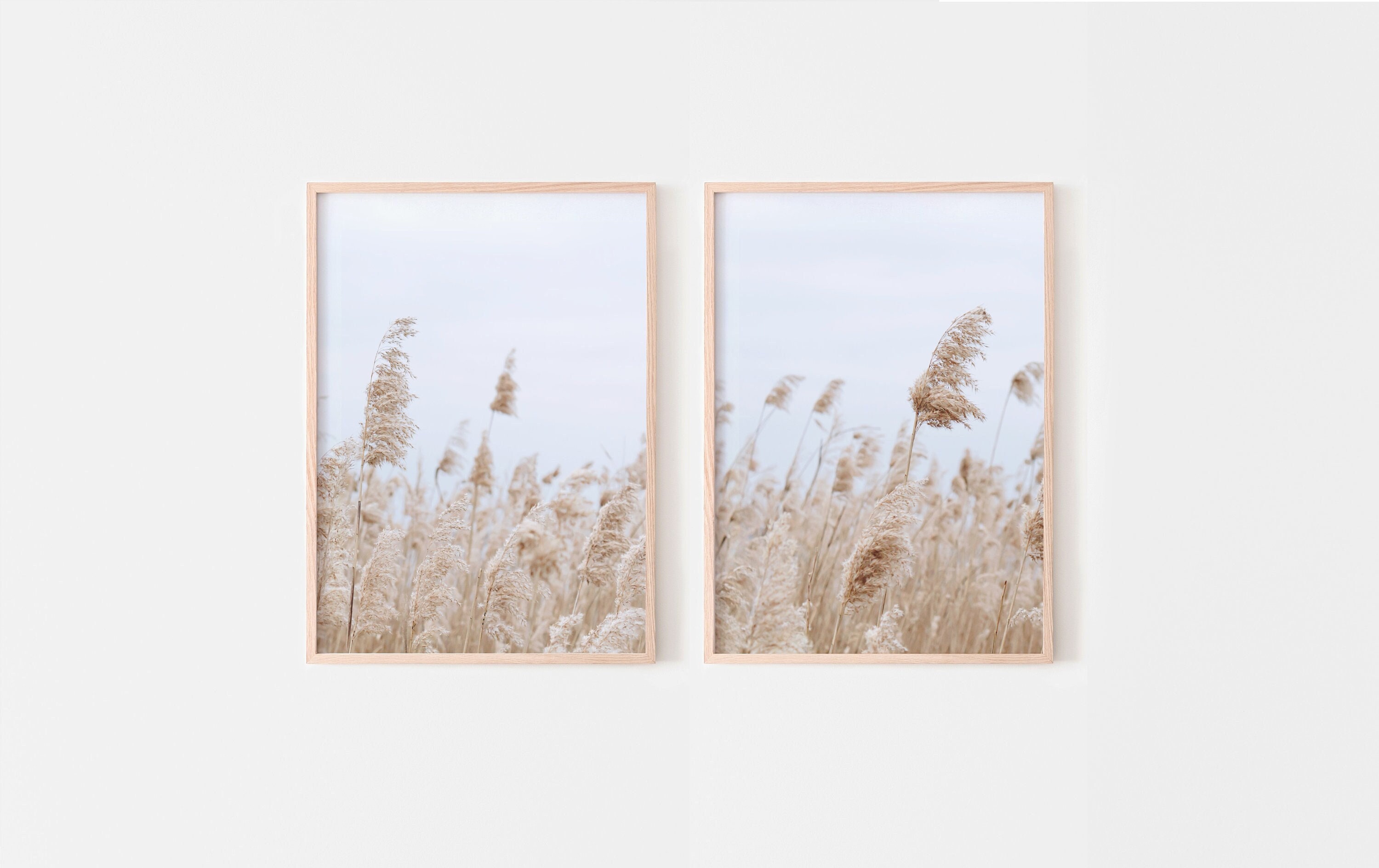 Pampas Grass Prints Set of 2 Neutral Dried Reeds Prints Boho | Etsy