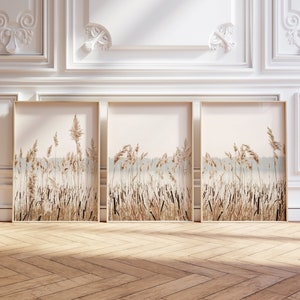 Neutral Dried Grass Prints, Pampas Triptych Wall Art, Dried Grass Set of 3 Prints, Boho Coastal ...
