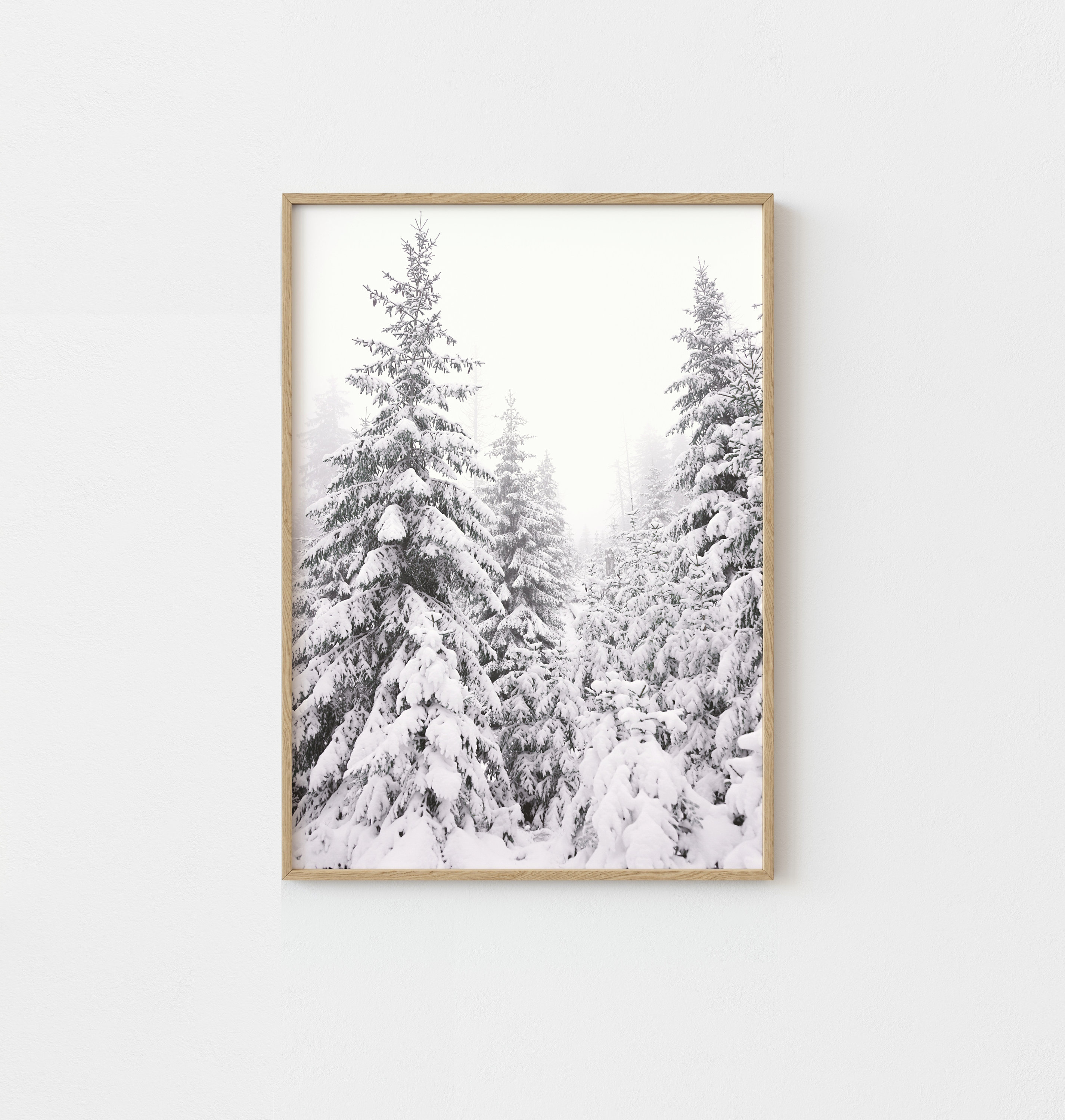 Winter Wonderland Prints Set of 3 Winter Photography Snow - Etsy