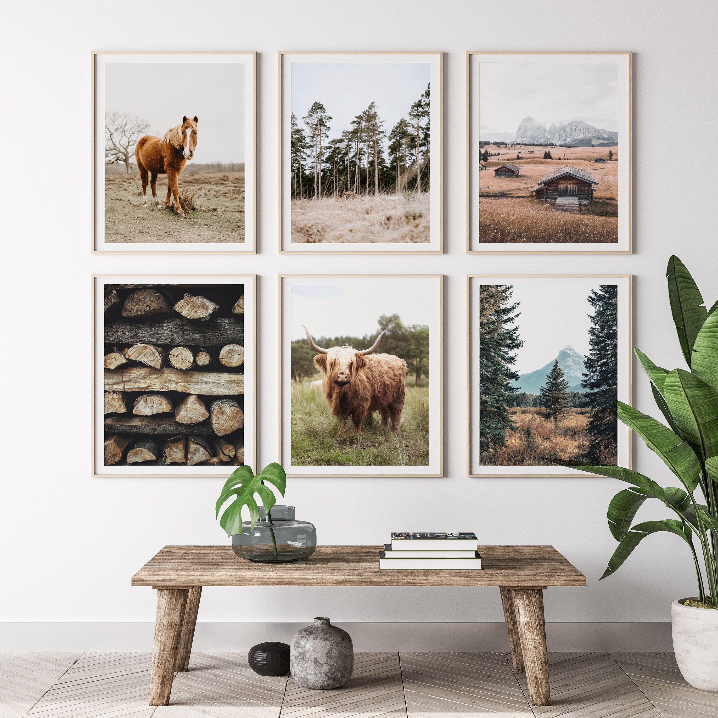 Nature Gallery Wall Set of 6 Prints, Nature Photography Prints ...