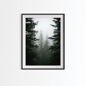 Dark Forest Print, Pine Trees Photography, Misty Forest Poster for ...